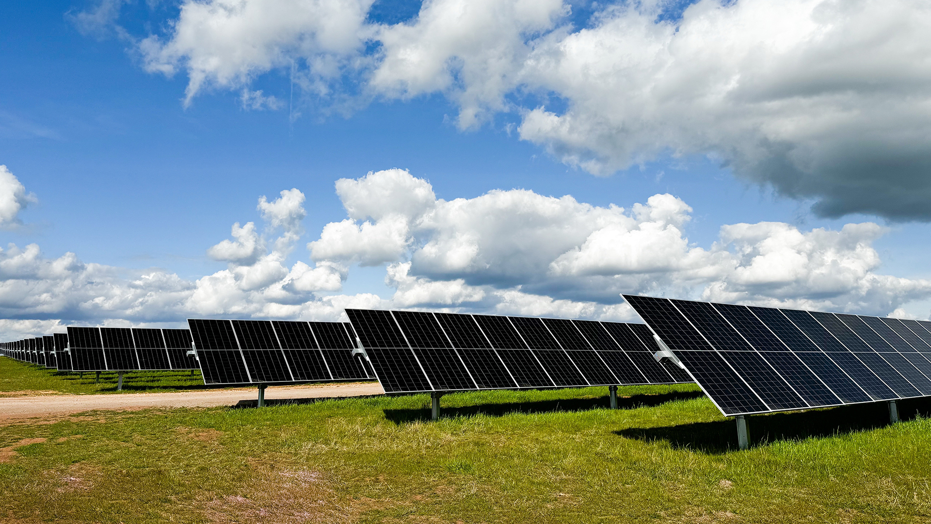 ZEN Energy, HDRE joint venture targets 1.4 GW of solar and storage – pv ...