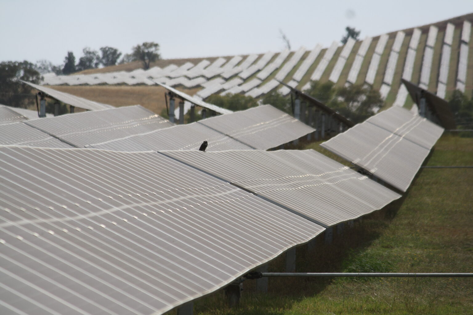 NSW 16 GW generation plan to get 7,000 GWh per annum kickstart in 2026 – pv magazine Australia