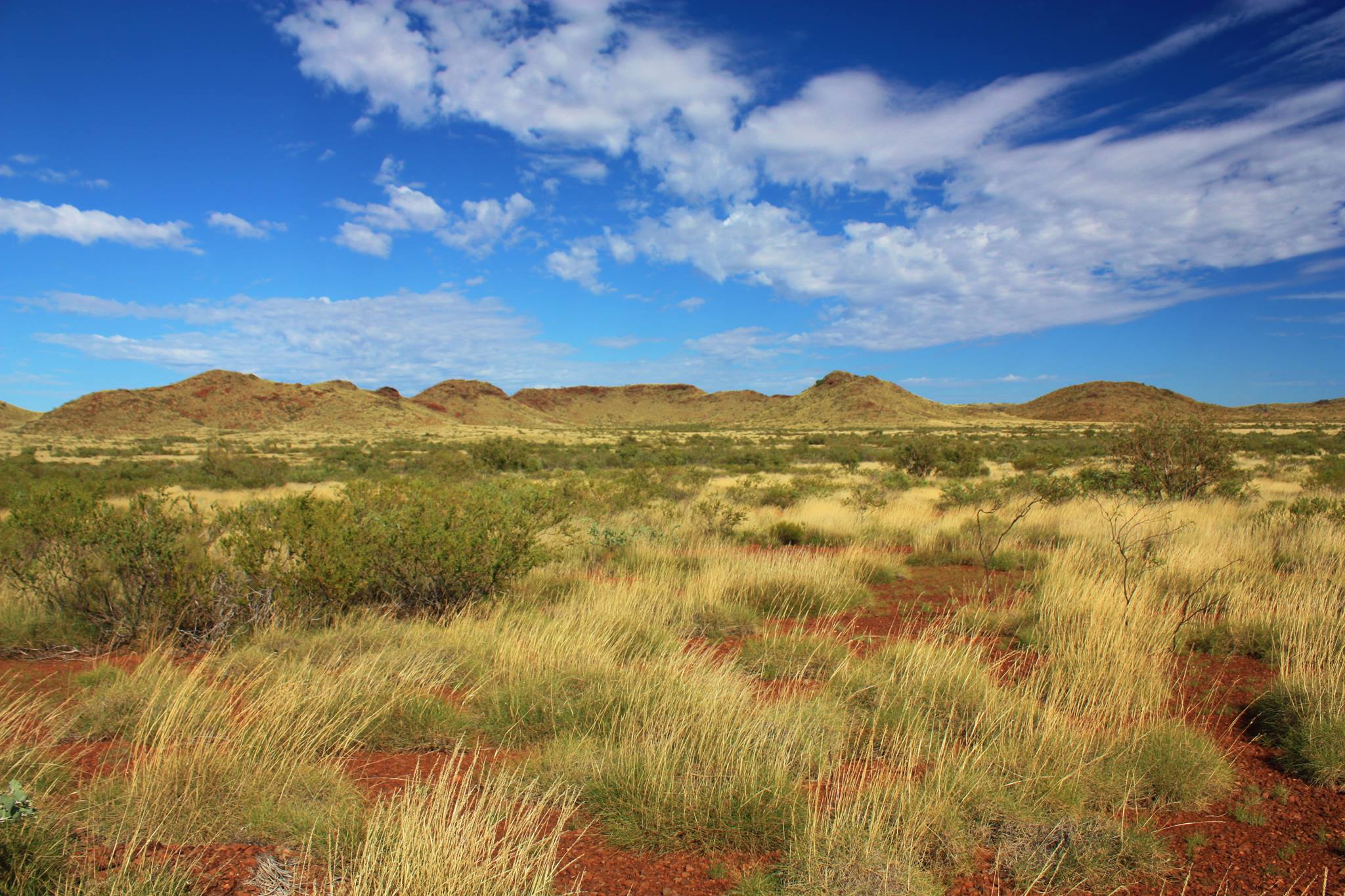 WA backs Traditional Owners’ 5 GW green energy parks target – pv ...