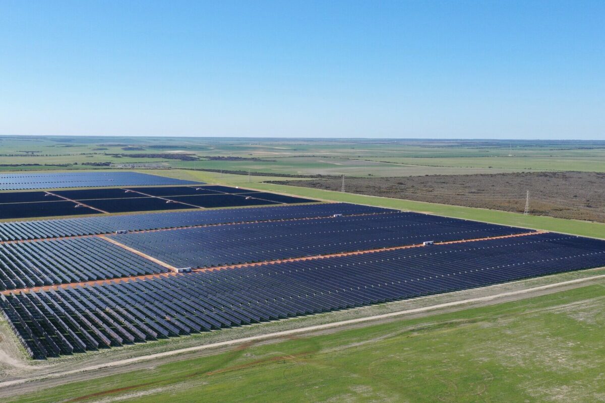 Ecovoltaics research aims to balance grid scale solar with wildlife and ...